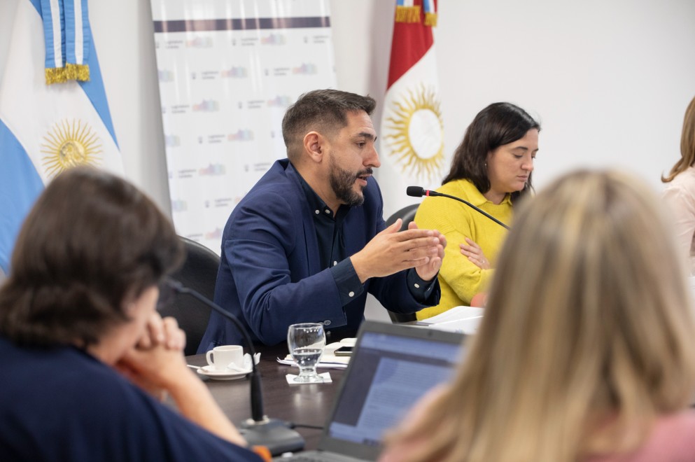 Amelia López presentó el Informe 2021 de la Defensoría de NNyA de ...