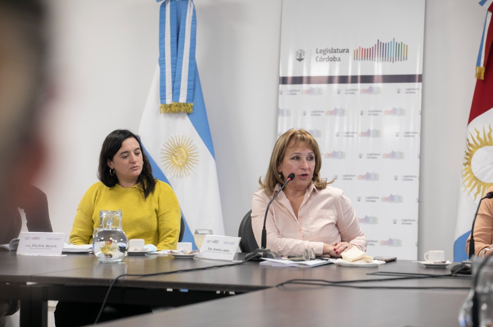 Amelia López presentó el Informe 2021 de la Defensoría de NNyA de ...