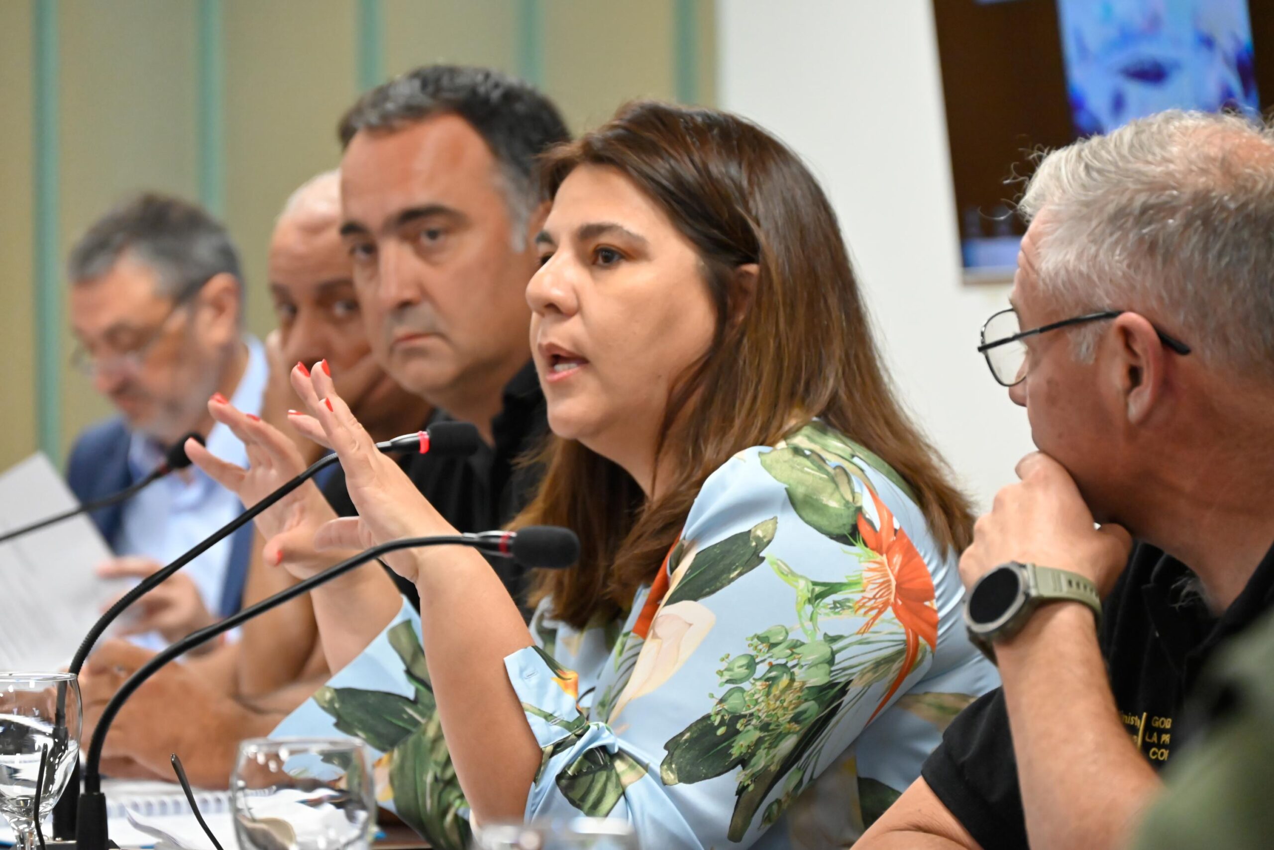 Comisión de Seguridad - Legislatura de la Provincia de Córdoba